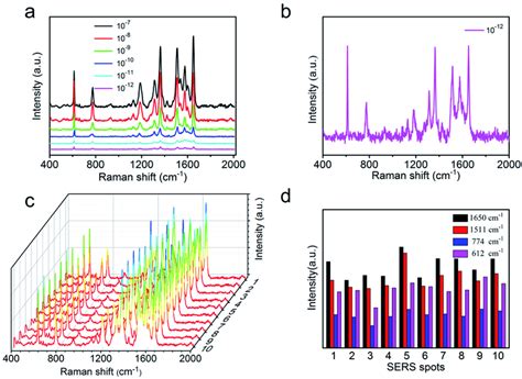 A Raman Spectra Of R6g With The Concentration From 1 × 10⁻⁷ To 1 ×
