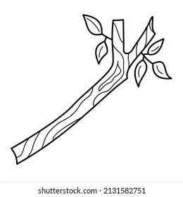 Vector Line Illustration Tree Branch Babe Stock Vector Royalty Free Shutterstock