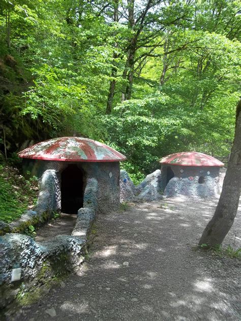 საზაფხულო სკოლა მხიარული ზაფხული წმ სერაფიმე საროველის სახ ეკლესია Facebook