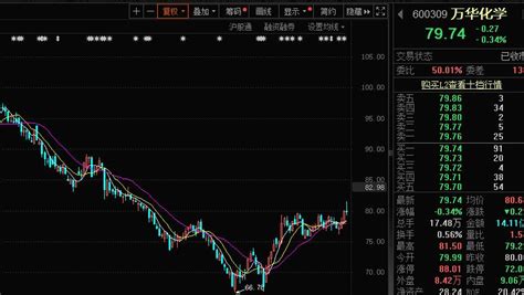 百亿私募重仓股数据来了！高毅逆势建仓“化学茅”，股价一路下跌 基金频道 和讯网