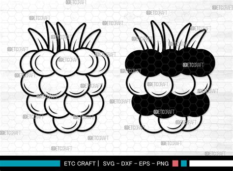 Raspberry Svg Raspberry Silhouette Graphic By Pixel Elites · Creative
