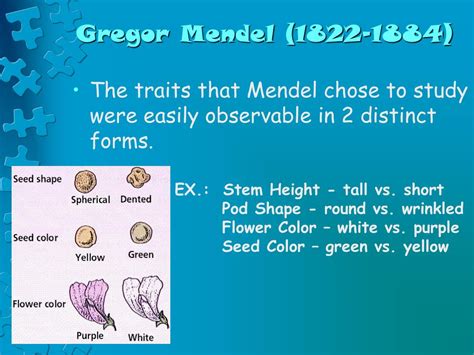 Ppt Genetics Powerpoint Presentation Free Download Id1415167