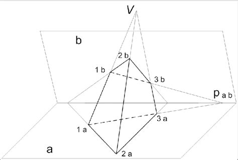 Perspective Projection Download Scientific Diagram