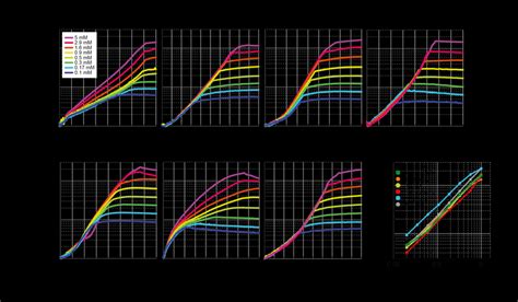 growth dependency of the glut aux strain on amino acid concentration