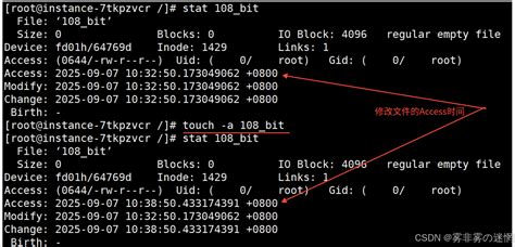 《linux 基础指令实战：新手入门的命令行操作核心教程（第一篇）》 Csdn博客