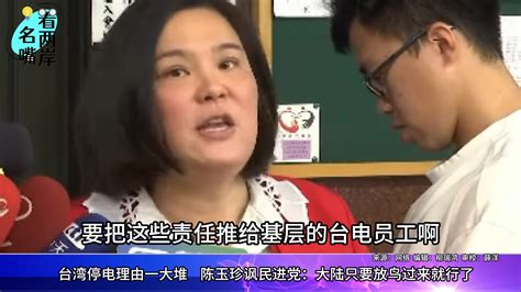 台湾停电理由一堆！陈玉珍讽民进党：大陆若打台湾放鸟过来就行了