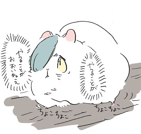 「急に涼しくなって巣材集めに奔走するモモン江さん 」芽衣の漫画