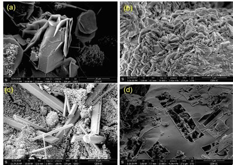 Soil Temperature Map In The Active Fumarolic Field AAVC And Zoning Of Download Scientific