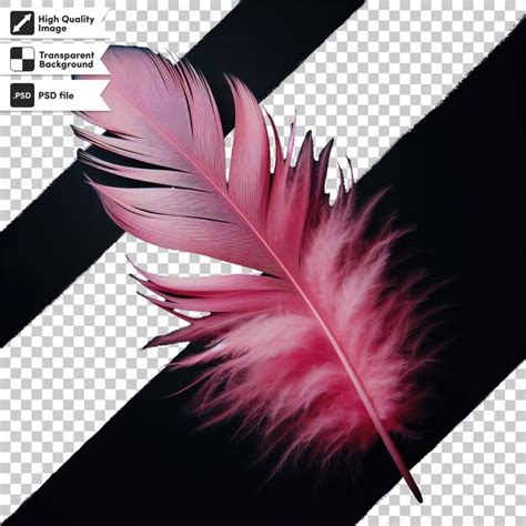 Pluma De Psd En Un Fondo Transparente Archivo PSD Premium