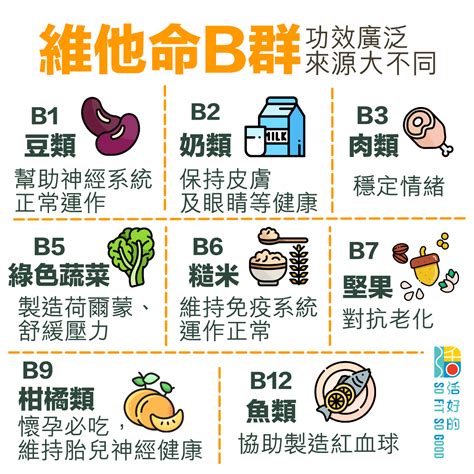 維他命b群功效廣泛 主要來源大不同 活好的