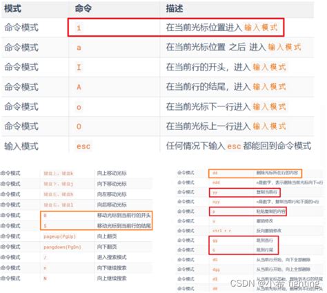 Vivim编辑器全面指南：从基础到高级命令 Csdn博客