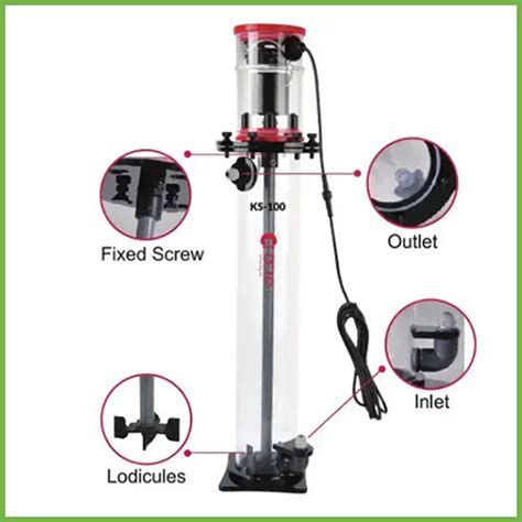 Welcome To Aquarays Aquarays