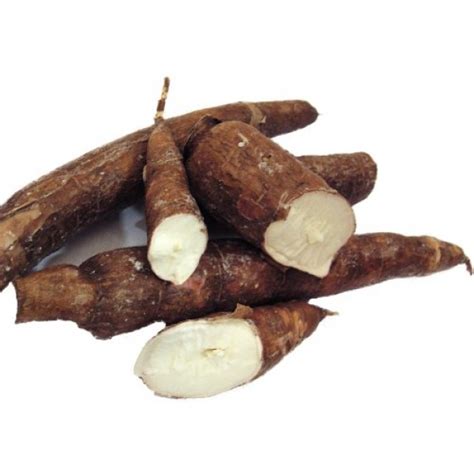 Cassava Twins 1 Month Supply Organic Cassava Root Fertility
