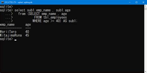 Sqlのサブクエリを覚えよう！（from句、where句での使い方）