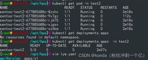 【k8s 云原生】k8s之hpa自动扩缩容、命名空间资源限制、容器抓包hpa自动扩容 Csdn博客