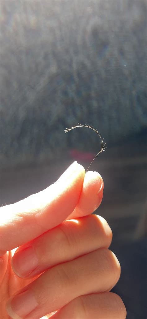 Split Ends