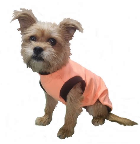 Kit Com 3 Regatas Roupas Para Cachorro Roupas De Cães Bana Rabo