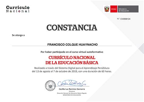 Curriculo Nacional De La Educacion Basica Realidad Nacional FRANCISCO COLQUE HUAYNACHO CV
