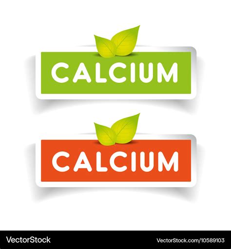 Calcium Label Collection Royalty Free Vector Image
