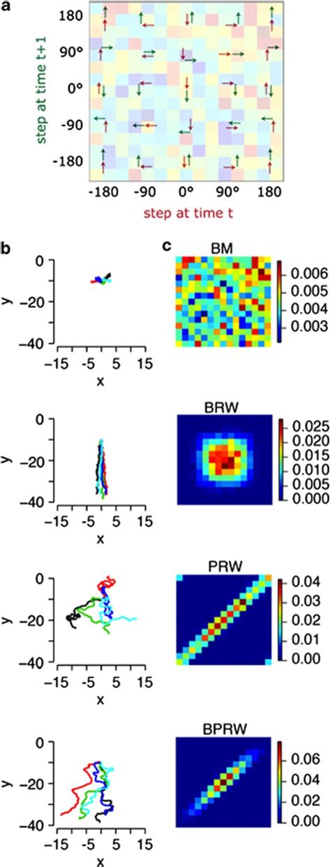 Transition Matrix As A Tool To Capture Complex Dynamics In Cell Download Scientific Diagram