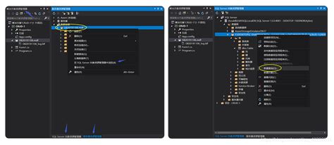 C 数据库 操作内置sqlserverc 使用内置sqlserver Csdn博客