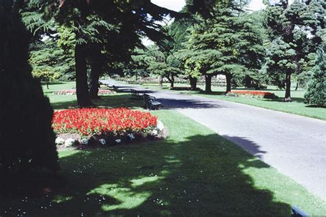 Ormeau Park Walkni