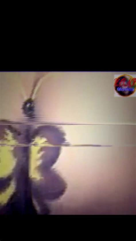 Whole Channel Nude Video On YouTube Nudeleted