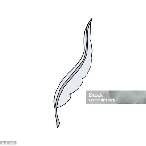 깃털 퀼 펜 쓰기 기록기 특성 빈티지 쓰기 도구입니다 흰색 배경에 격리 된 손으로 그린 교육 벡터 그림입니다 곡선에 대한 스톡 벡터 아트 및 기타 이미지 Istock