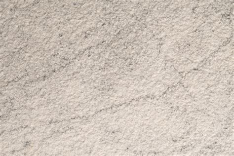 Black Sparrow Telmo Duarte