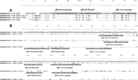 Concurrent Genotyping And Quantitation Of Cytomegalovirus Gb Genotypes