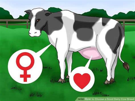 Concept Of Breeding Methods In Commercial Dairy Cattle Pashudhan Praharee