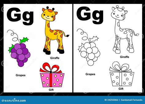Palabras Que Empiecen Con La G Escuela