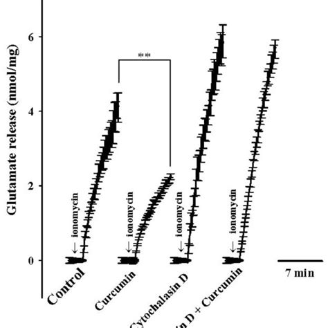 Curcumin Inhibites Ionomycin Induced Glutamate Release And Kcl Evoked