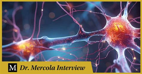 Brad Marshall Reductive Stress The Hidden Culprit Of Chronic Disease