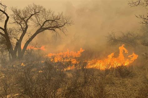 Texas Fires March 2024 Kimmi Latrina