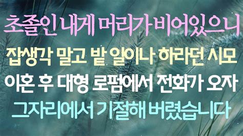 초졸인 내가 머리가 비어있으니 잡생각하지 말고 밭일이나 하라고 하던 시어머니의 말이 이혼 후 대형 로펌에서 전화가 오자마자