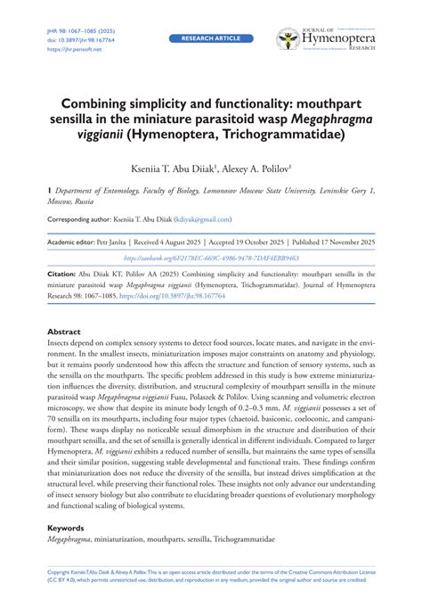 Pdf Combining Simplicity And Functionality Mouthpart Sensilla In The