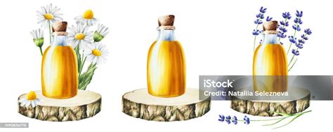 나무 톱에 코르크 캡이 달린 수채화 기름 유리병은 흰색 배경에 분리된 카모마일과 라벤더로 자른다 미용 제품 및 식물학 요소 미용 및 의학 디자이너 스파 장식 엽서 포장지