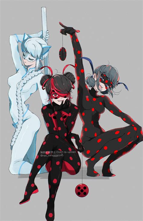 Seio Nao Miragggcc45 Lady Noir Ladybug Character Marinette