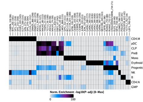 PlotEnrichHeatmap N Parameter Not Working Issue 1528 GreenleafLab