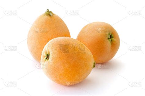 枇杷