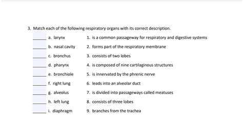 Solved Unit The Anatomy Of The Respiratory System Chegg