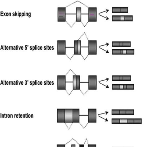 Pdf Transcriptome Profiling Methods And Applications A Review