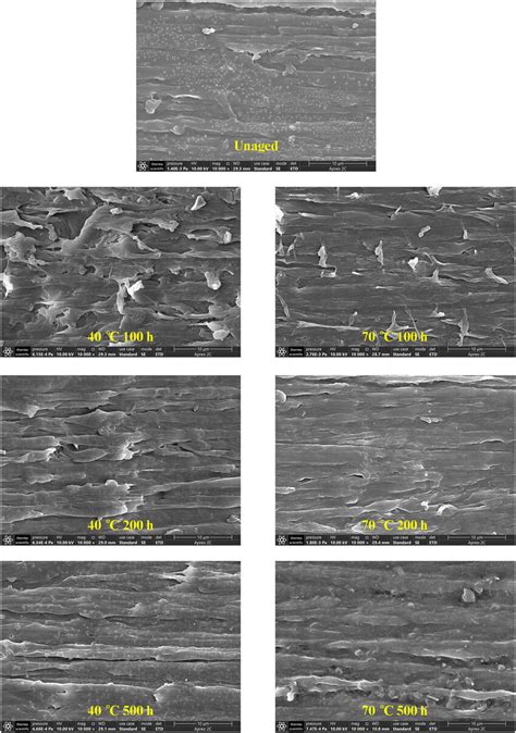 Microscopic Surface Morphology Of Uhmwpe After Thermo Oxidative Aging