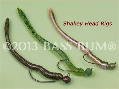 The Shaky Head Plastic Fishing Worms Rigged On A Jig Head
