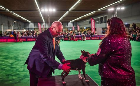 De Hondenverkiezing Zielig Of Een Feest Voor Mens En Dier ‘mijn