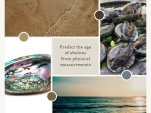 Predicting The Age Of Abalone From Physical Measurements Part