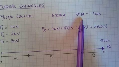 Concepto De Fuerzas Colineales Definici N Y Ejemplos Pr Cticos En