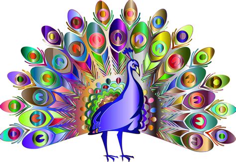 Over 100 Free Peacock Vectors Pixabay