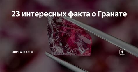 23 интересных факта о Гранате Ломбард Валантис Дзен
